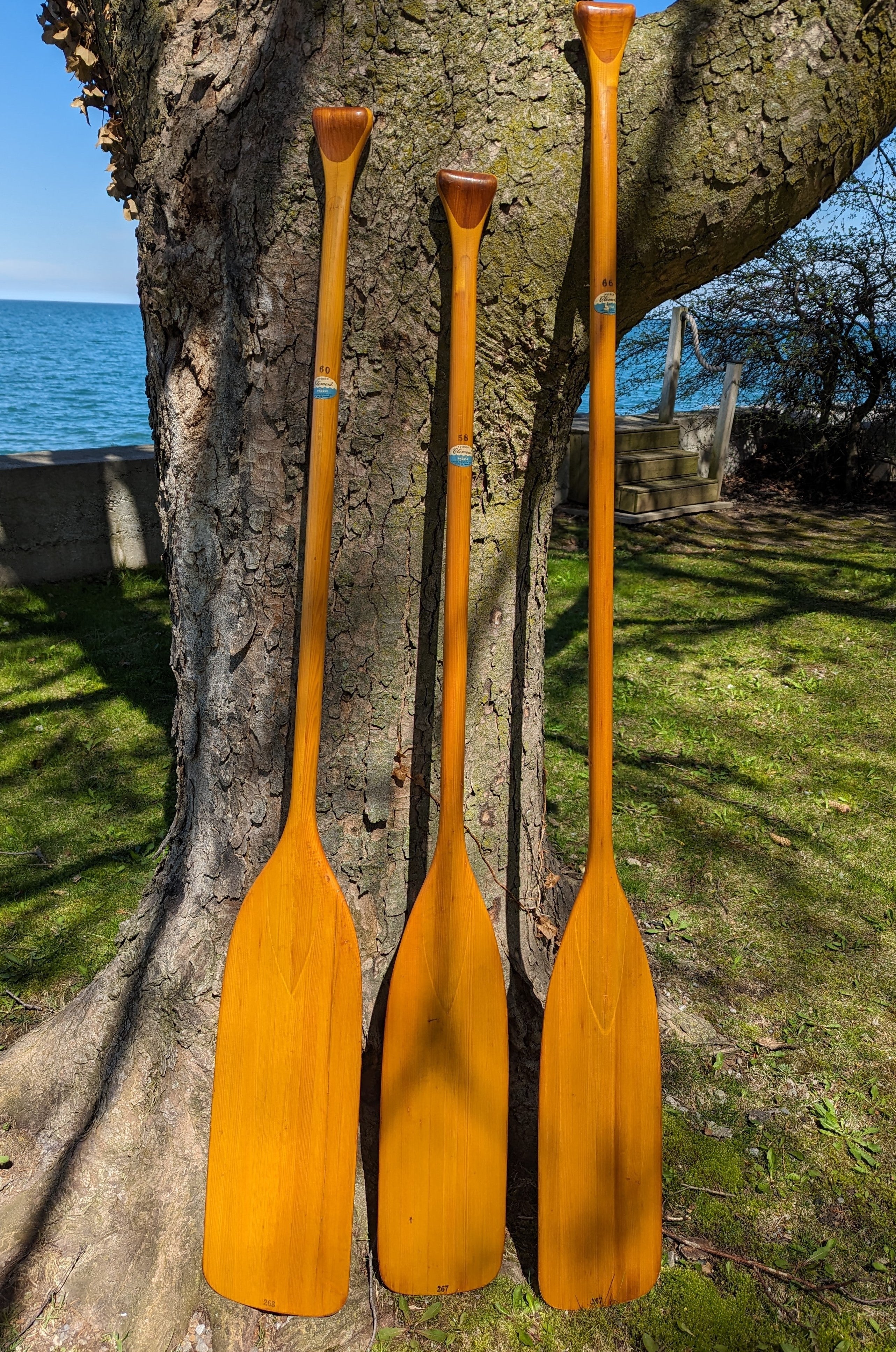 Our Paddles - Canoe Foundation